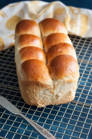 Easy Milk Bread (no eggs, no tangzhong) - Wild Wild Whisk