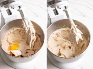 Oatmeal Mango Cookies with Coconut and Macadamia - Wild Wild Whisk