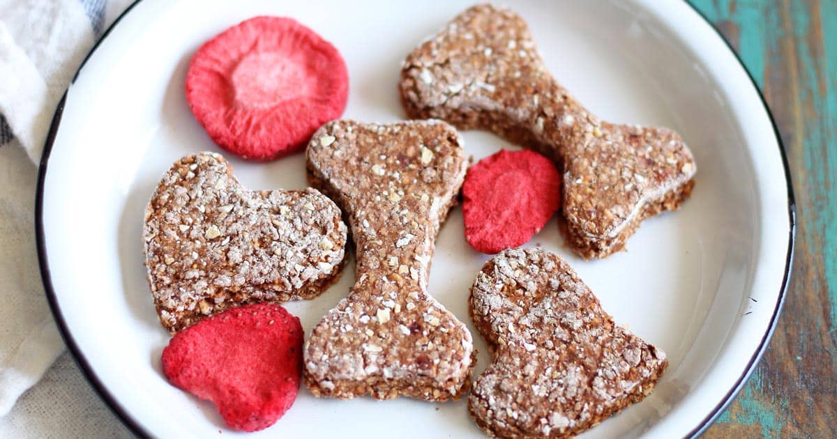 Dog-Approved Strawberry Dog Treats - Wild Wild Whisk